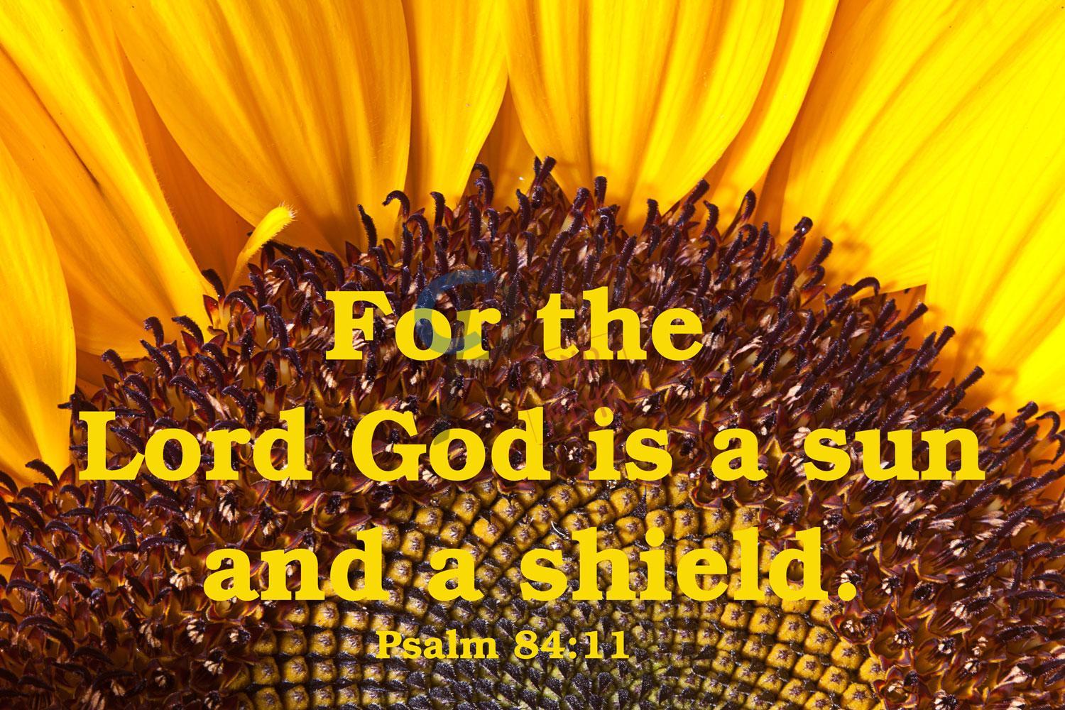 For the Lord God is a sun and a shield. | Christliche Poster