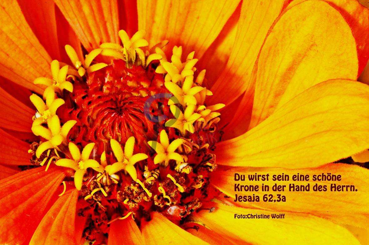 278 - Jesaja 62 | Alle Poster im Überblick | Alle Poster | Christliche ...