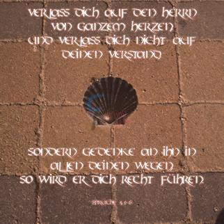 Verlass dich auf den Herrn von ganzem Herzen, und verlass dich nicht ...